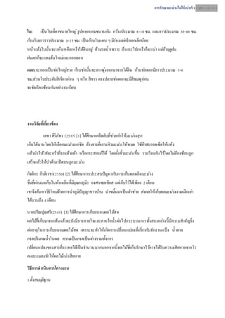 บทท 2 (1) | PDF