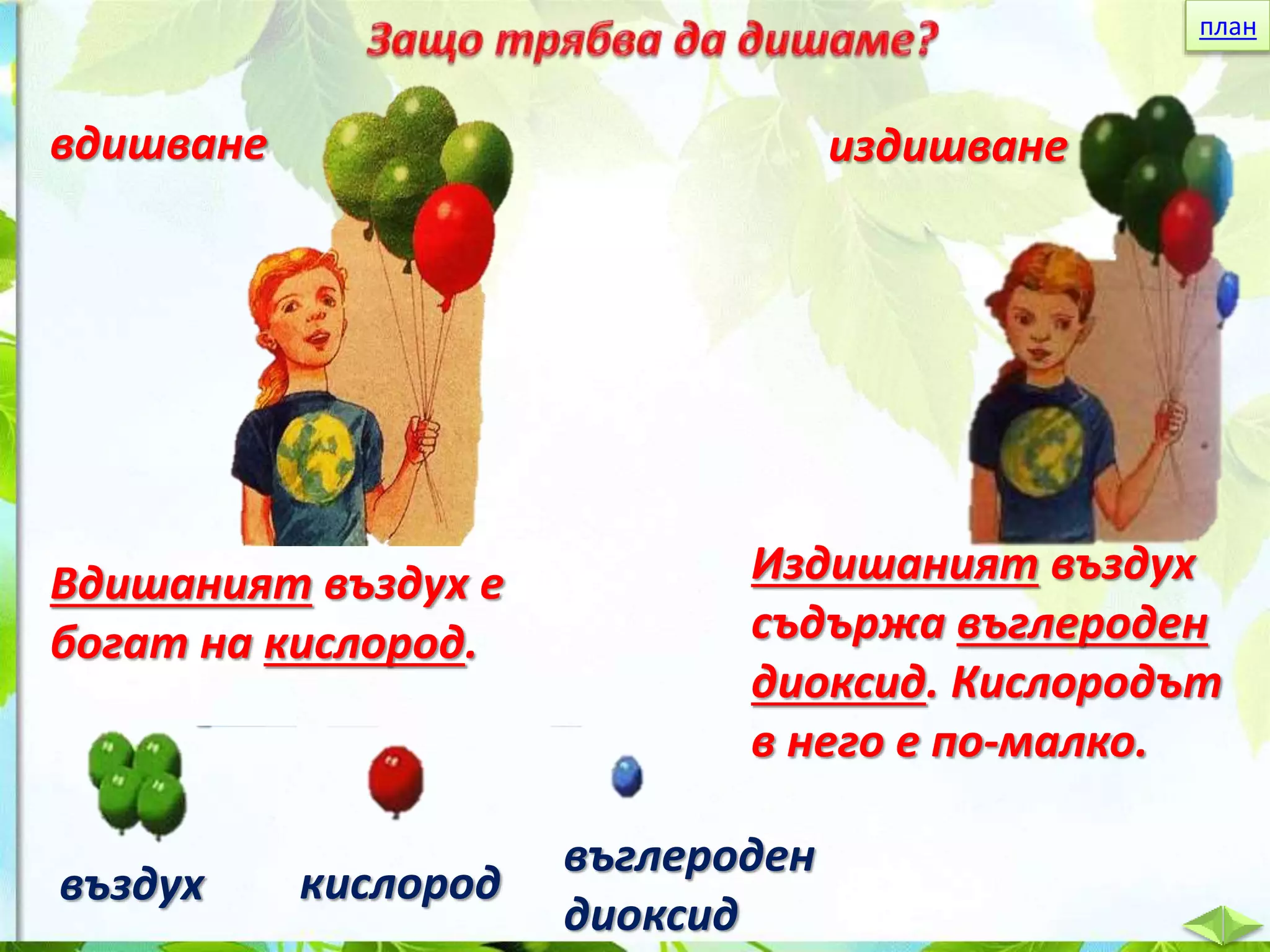 21 Дишане на животните и растенията ЧП 4 клас Булвест Pptx