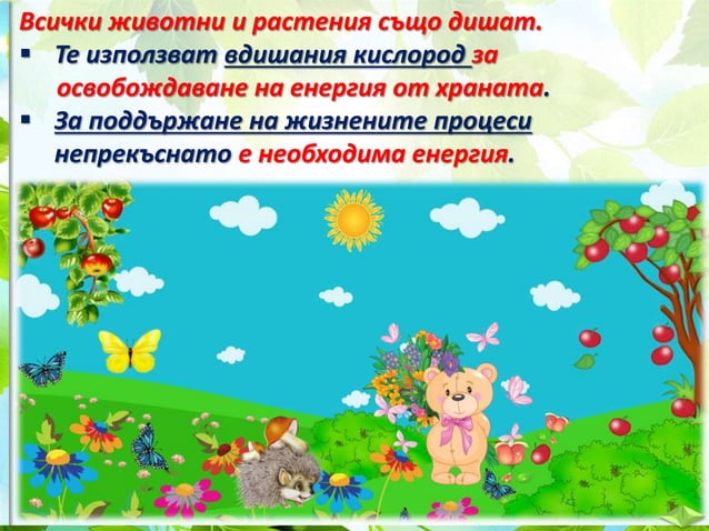 21 Дишане на животните и растенията ЧП 4 клас Булвест Pptx