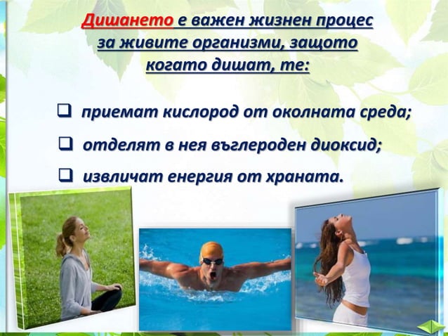 21 Дишане на животните и растенията ЧП 4 клас Булвест Pptx