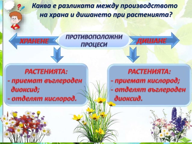 21 Дишане на животните и растенията ЧП 4 клас Булвест Pptx
