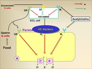 21.drugs used in peptic ulcer | PPT