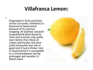 21.lemon varities in the world By Allah Dad Khan | PPTX