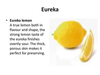 21.lemon varities in the world By Allah Dad Khan | PPTX