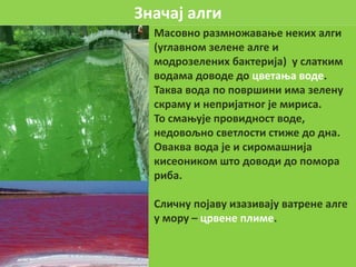 Alge | PPTX