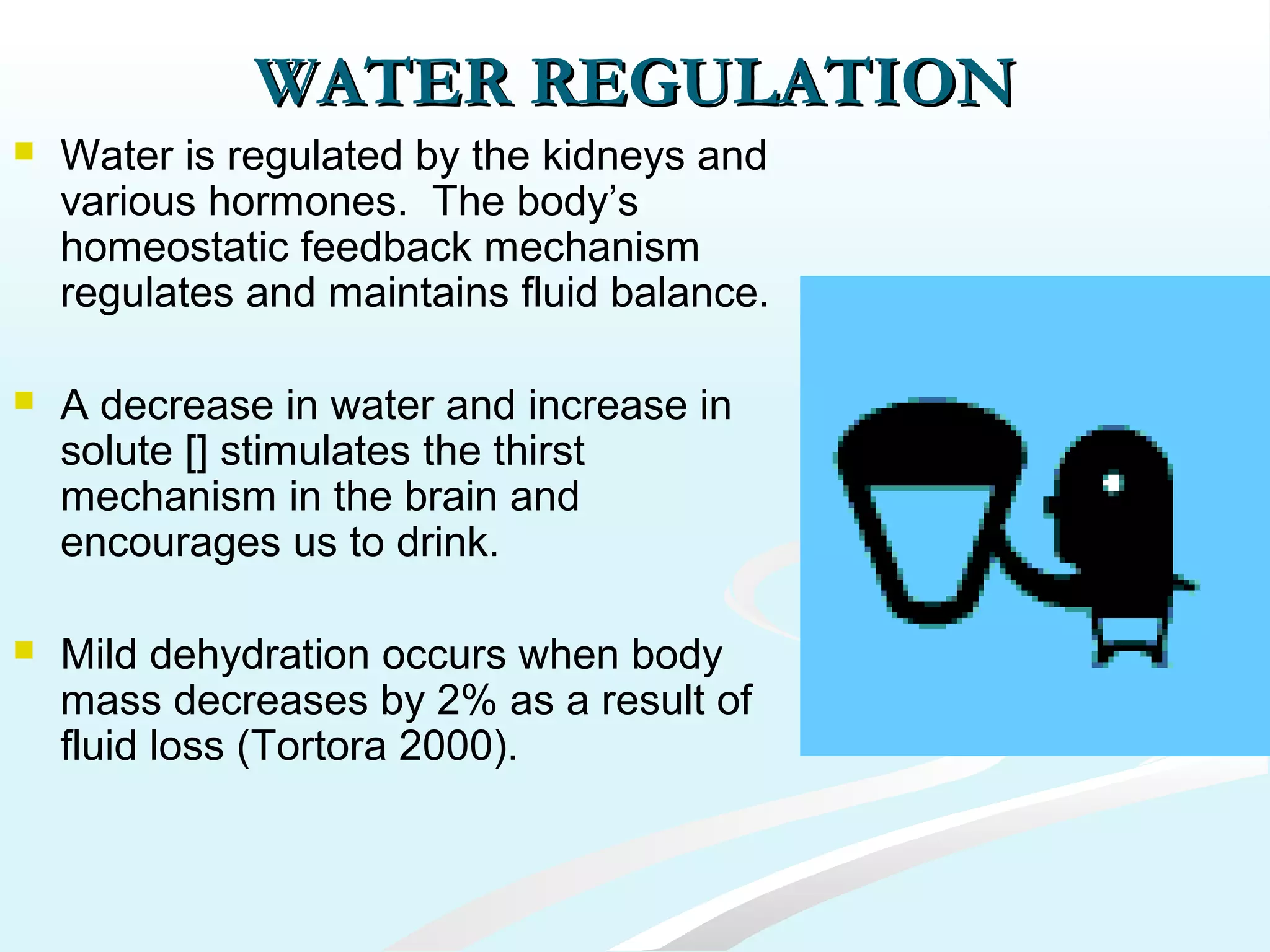 21.1.16 fluid intake and sports performance | PPT