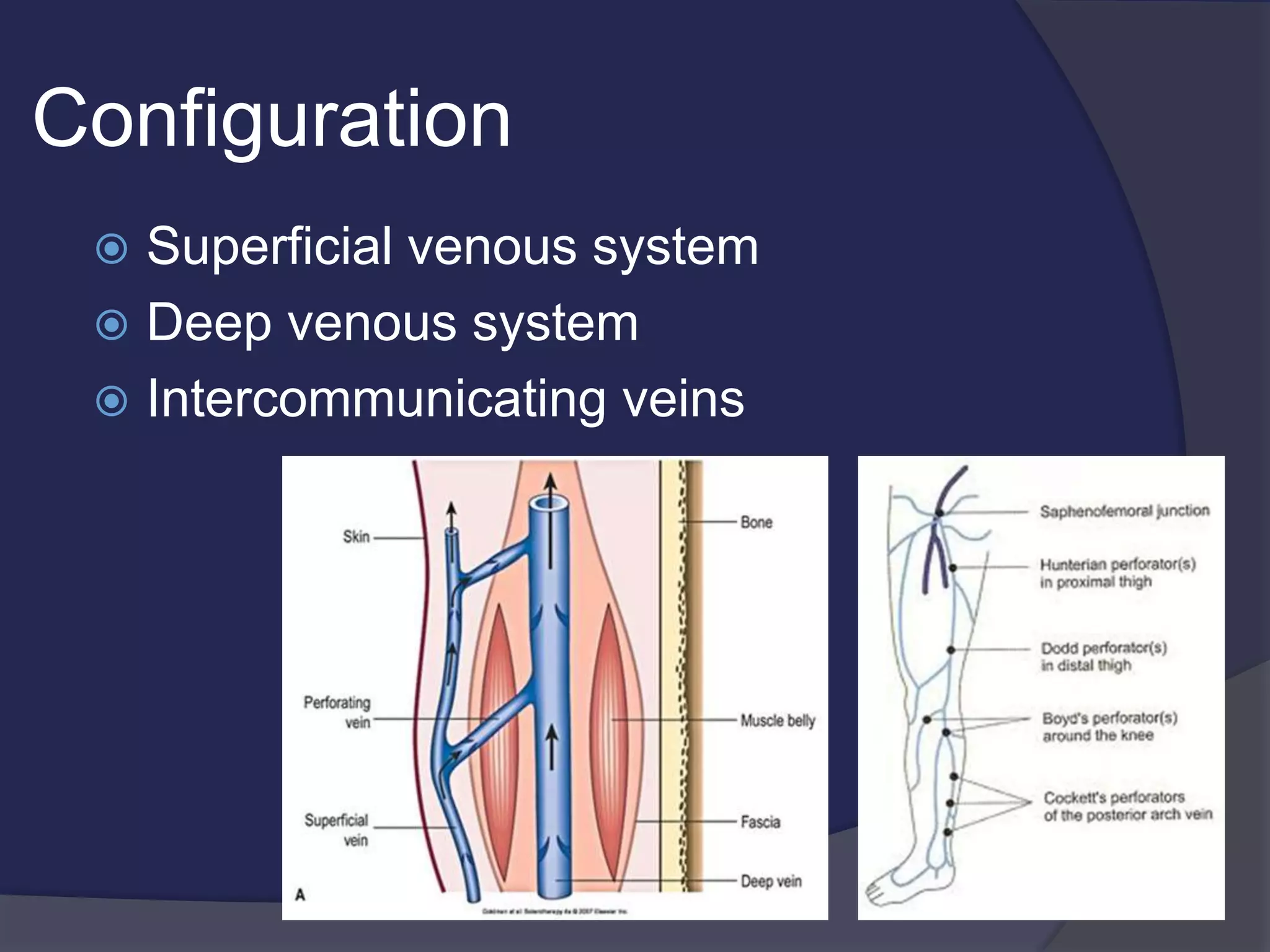 venous drainage of the lower limb | PPTX