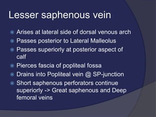 venous drainage of the lower limb | PPTX