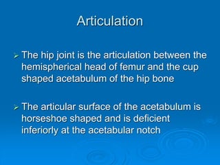 Hip joint | PPTX