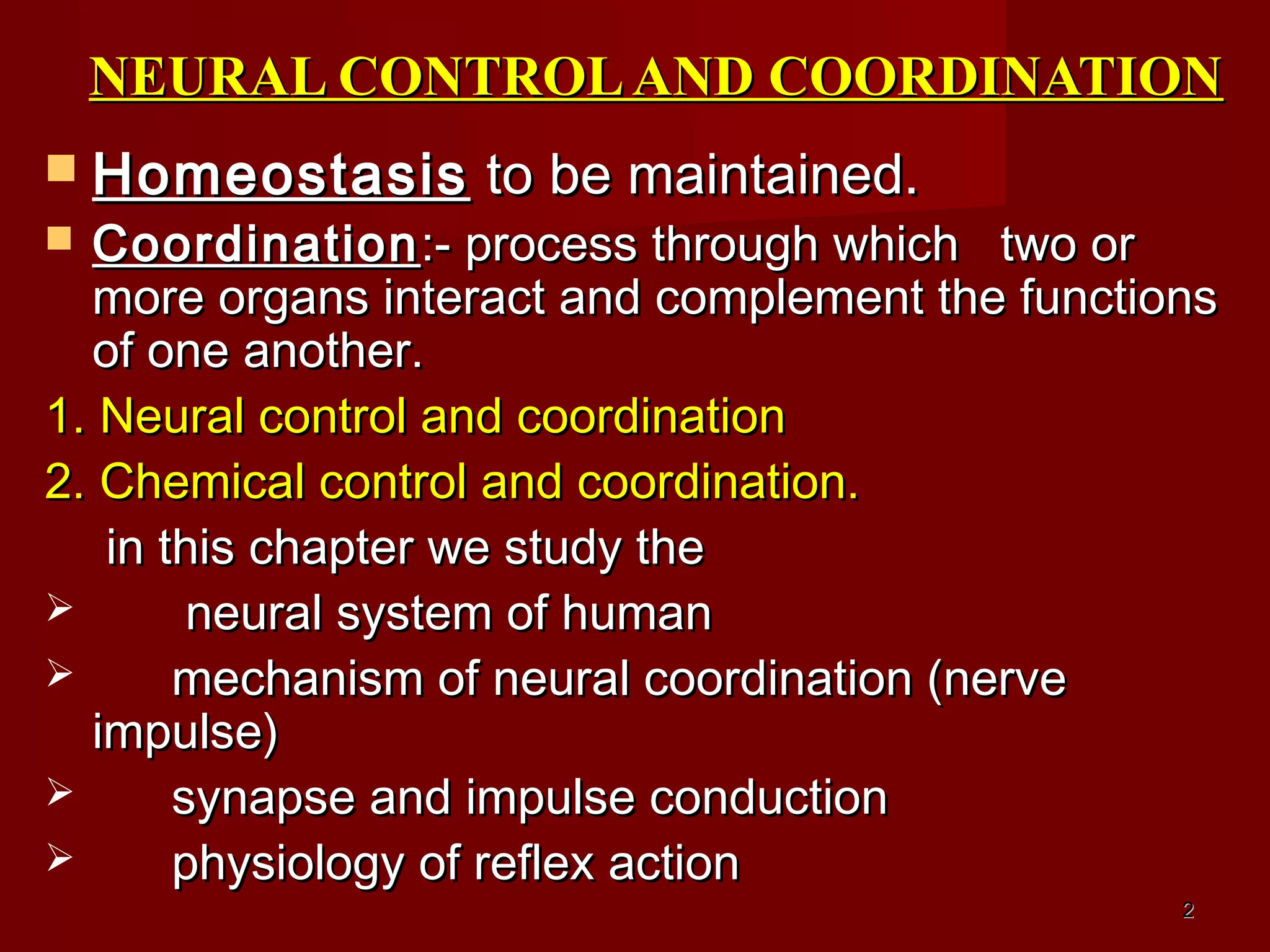 21.Neural Control and Coordination | PPT