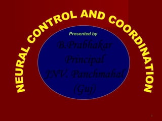 21.Neural Control and Coordination | PPT