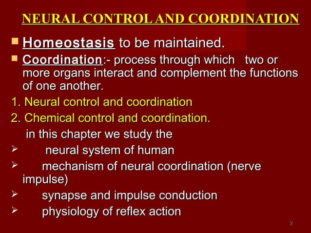 21.Neural Control and Coordination | PPT