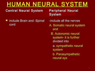 21.Neural Control and Coordination | PPT
