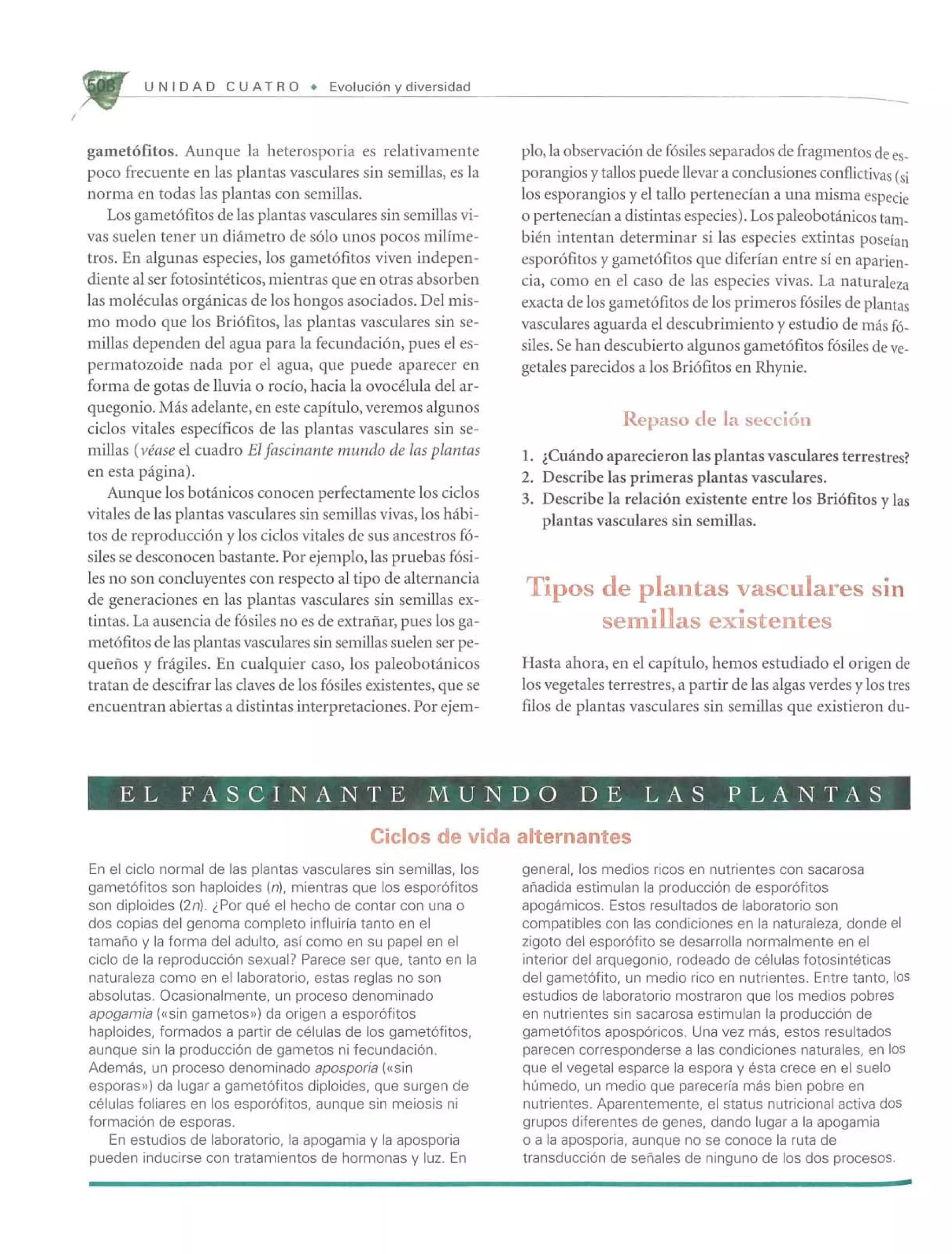 Plantas Vasculares Sin Semilla Pdf 8719