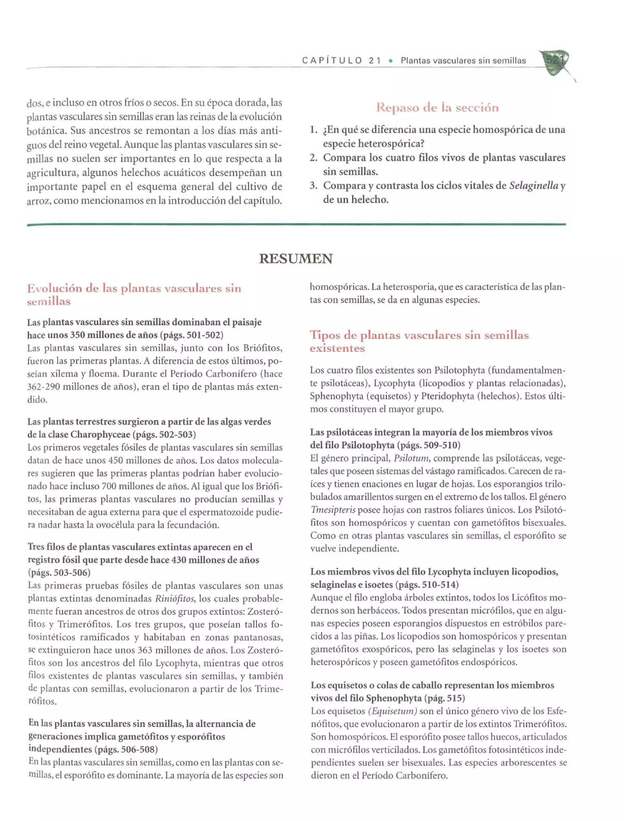 Plantas Vasculares Sin Semilla Pdf 4183