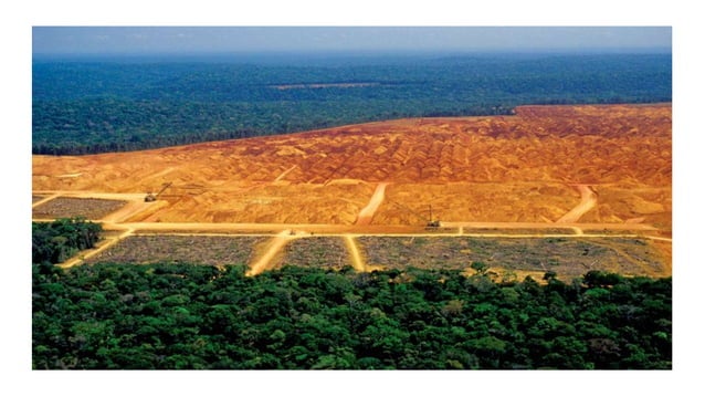 GEOGRAPHY IGCSE: TROPICAL RAINFORESTS. DEFORESTATION ON THE AMAZON | PPTX