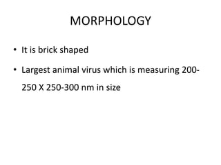 21. pox and herpes virus | PPTX