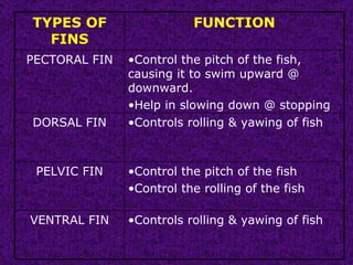 2[1].1 (c) FORM 5 | PPT