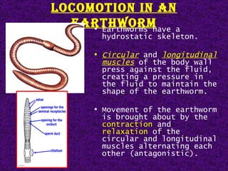 2[1].1 (c) FORM 5 | PPT