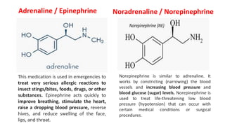 Adrenergic drugs | PPTX