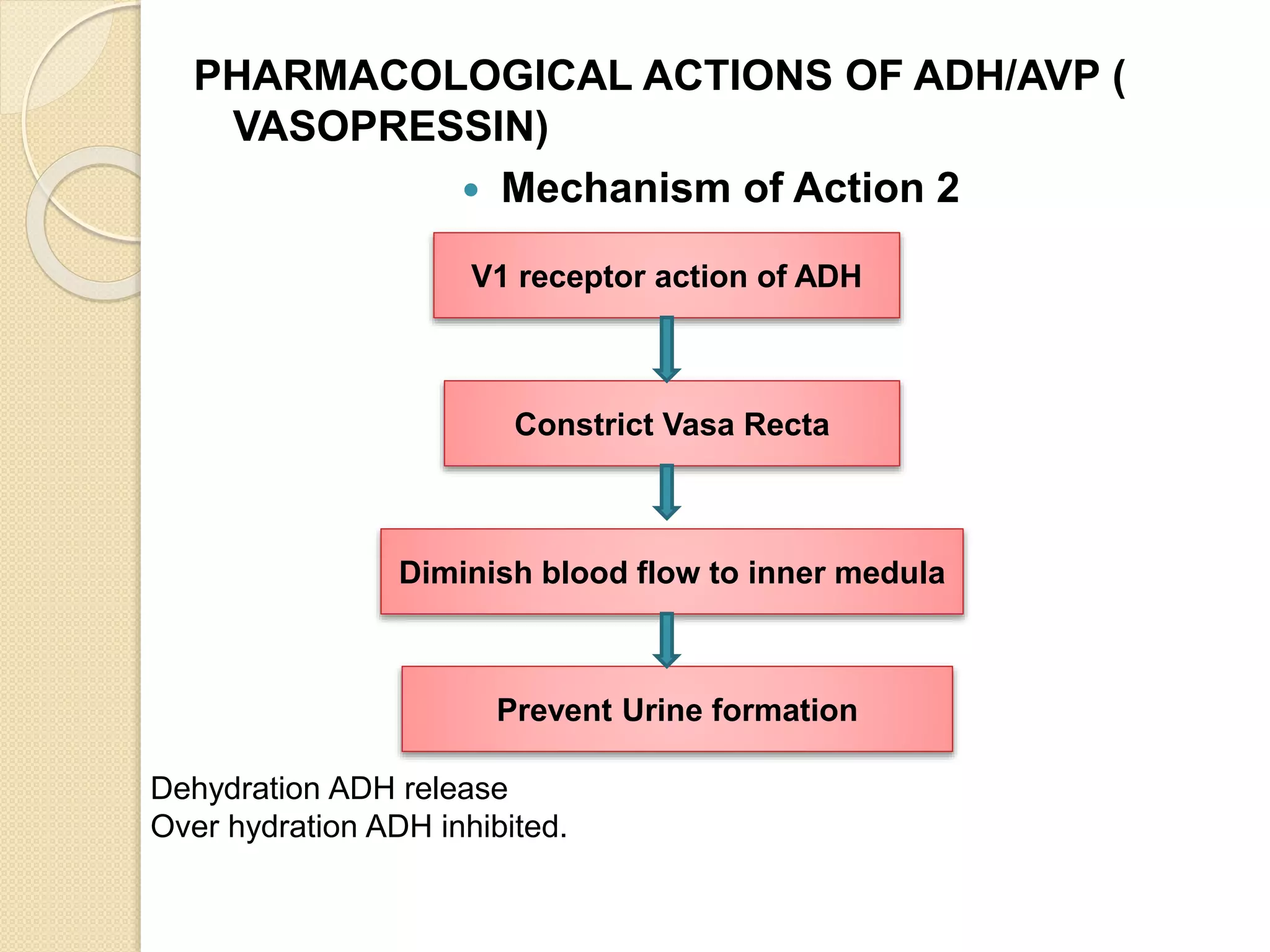 Antidiuretic Drugs | PPTX