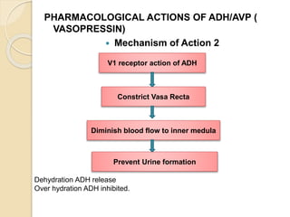 Antidiuretic Drugs | PPTX