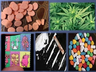 21.narkomanija stepanic-tijana1 | PPT