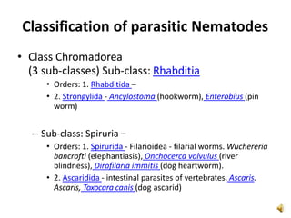 21. phylum nematoda full explanation only on slide share | PPTX