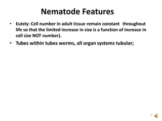 21. phylum nematoda full explanation only on slide share | PPTX
