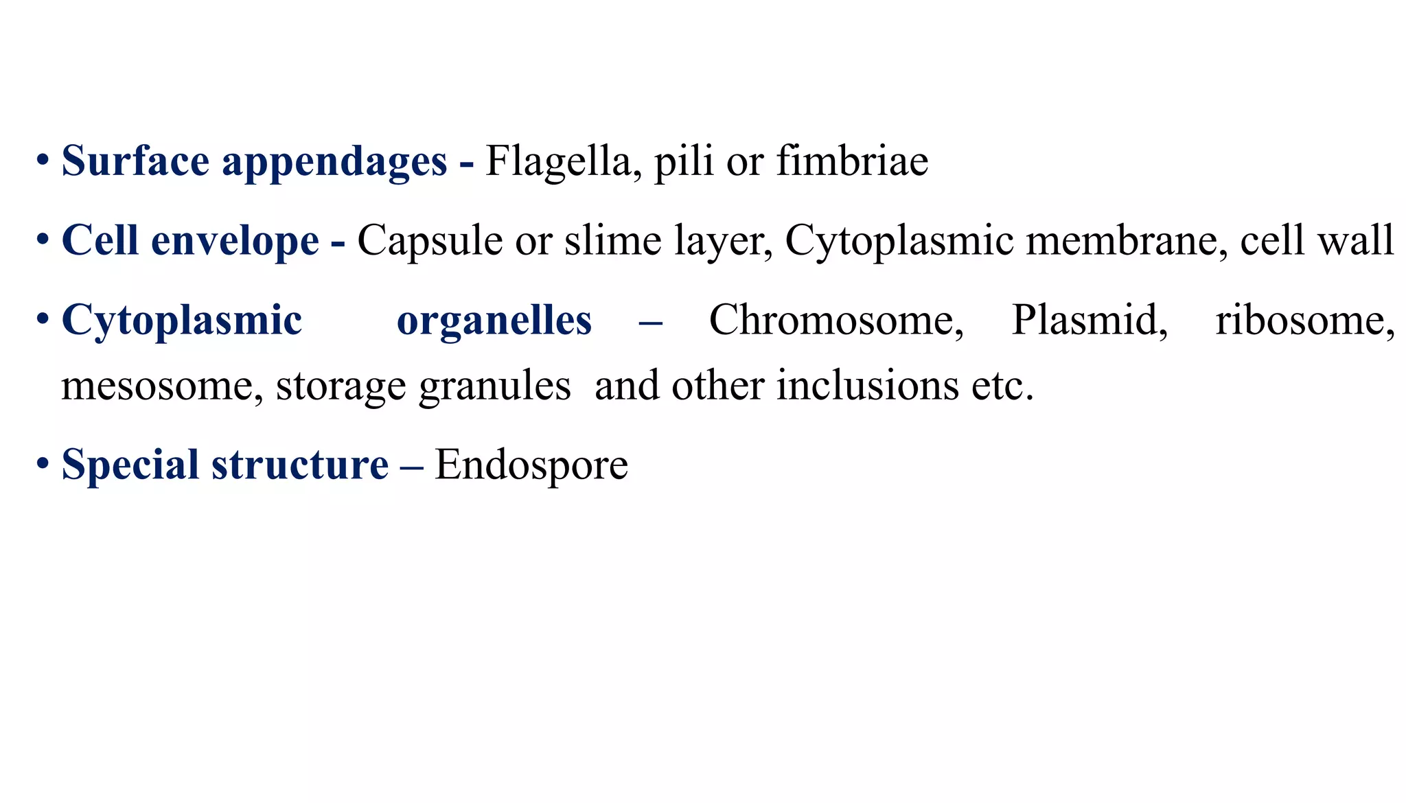 Bacterial cell structure | PDF