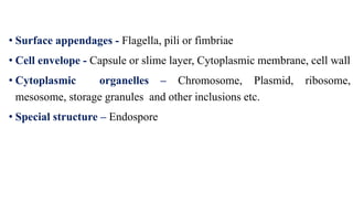 Bacterial cell structure | PDF