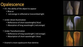 Color of Natural Teeth and shade selection in dentistry. | PPTX