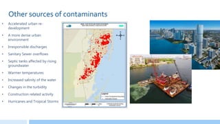 Stormwater Management in the City of Miami Beach | PPTX