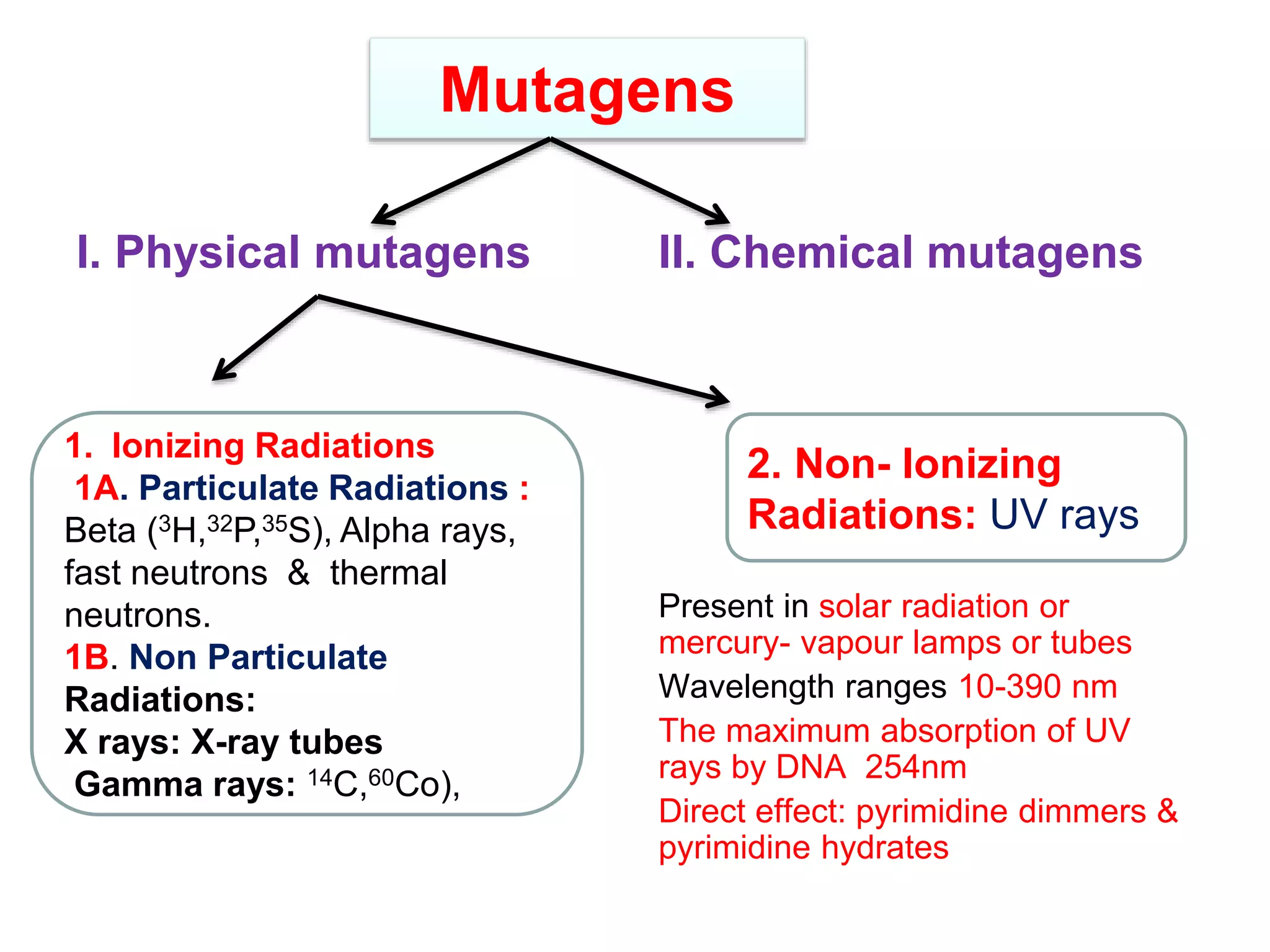21. Mutation Breeding in crop improvement | PPTX