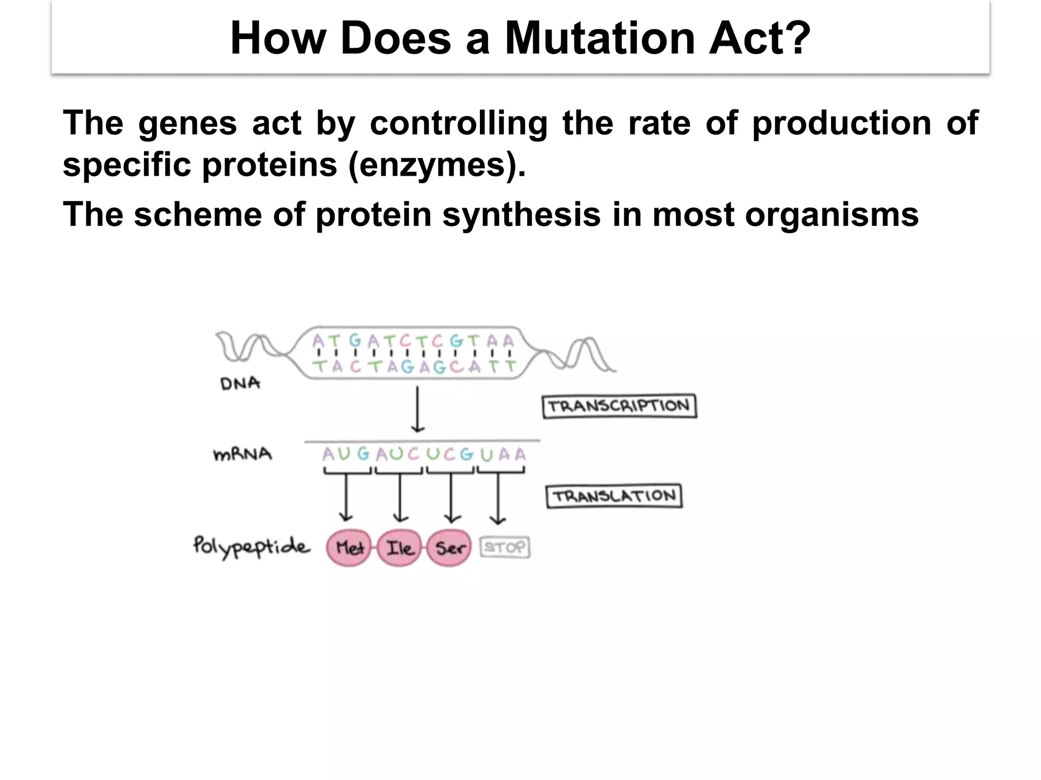 21. Mutation Breeding in crop improvement | PPTX
