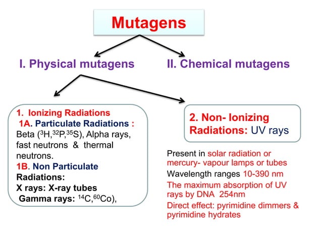 21. Mutation Breeding in crop improvement | PPTX