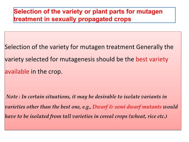 21. Mutation Breeding in crop improvement | PPTX