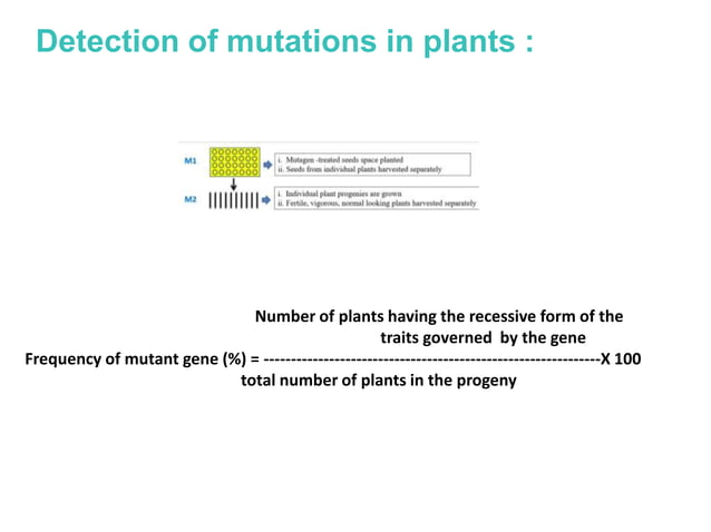21. Mutation Breeding in crop improvement | PPTX