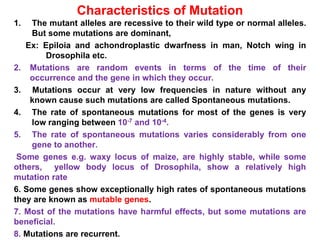 21. Mutation Breeding in crop improvement | PPTX