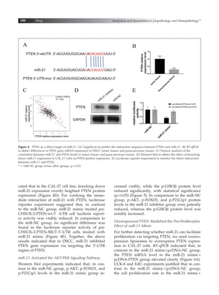 Effect of miR-21 on Oral Squamous Cell Carcinoma Cell Proliferation and ...