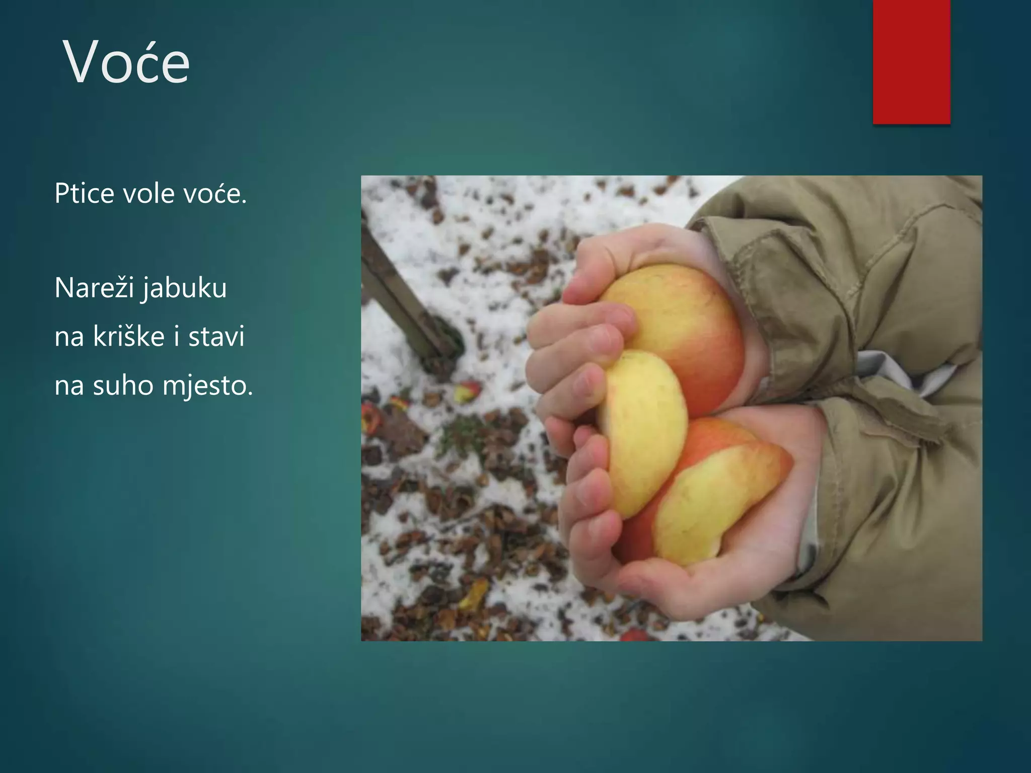 21. ptice stanarice | PPT
