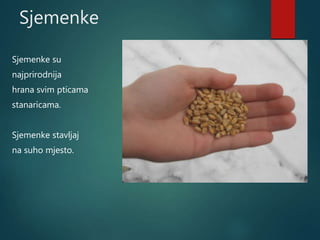 21. ptice stanarice | PPT