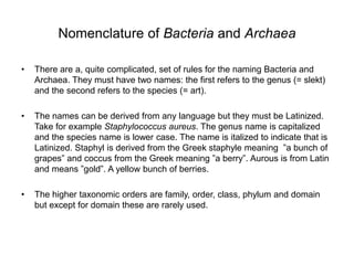 21-22_Classification_04.ppt