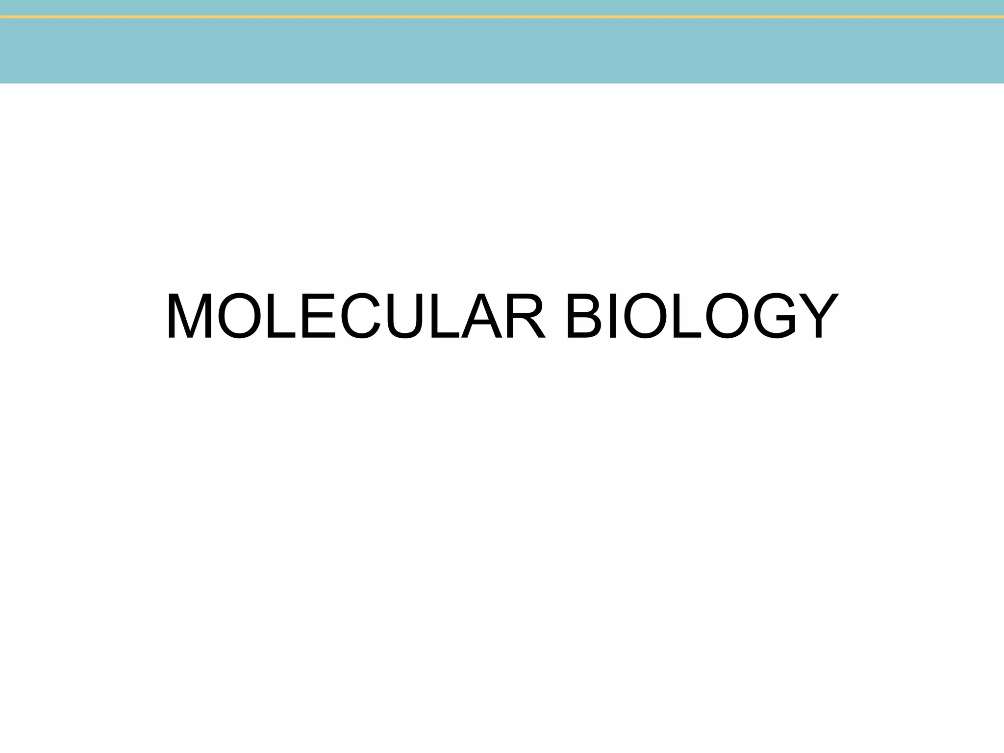 21.. gene expression.ppt | Genetics | Science