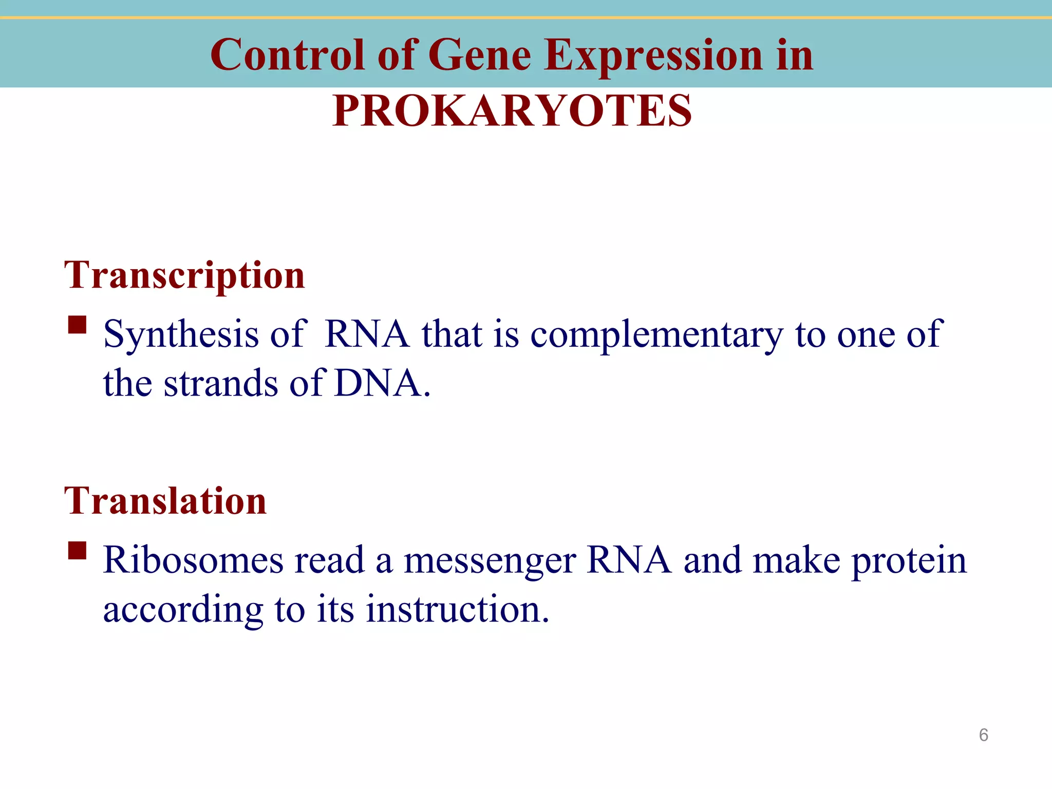 21.. gene expression.ppt | Genetics | Science