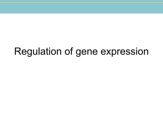 21.. gene expression.ppt | Genetics | Science