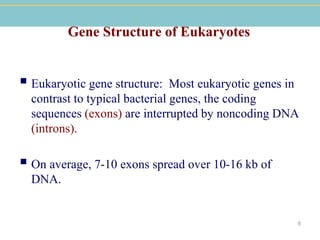 21.. gene expression.ppt | Genetics | Science