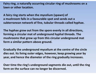 21. Fairy Rings.pdf