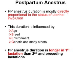 21. Anestrus.ppt