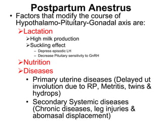 21. Anestrus.ppt
